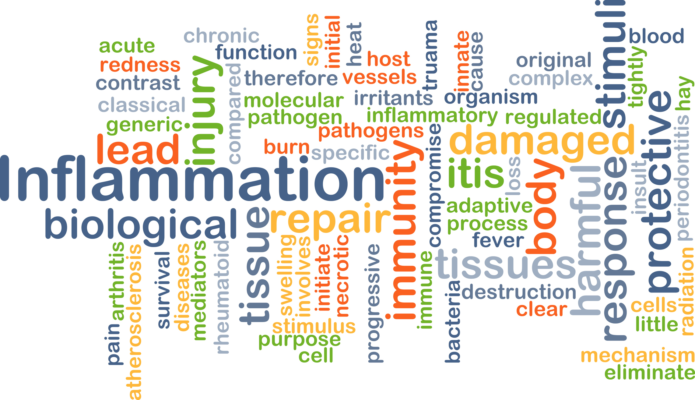 Spotlight On: Inflammation - I Spy Physiology Blog