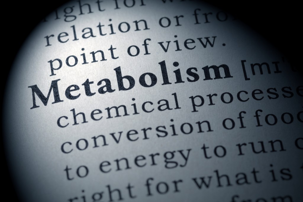 Spotlight On: Metabolism - I Spy Physiology Blog