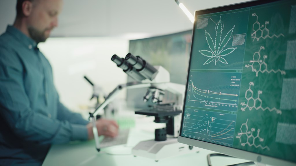 High Hopes for Marijuana Research - I Spy Physiology Blog